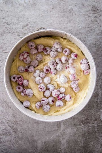 Yogurt Raspberry Cake - Simple Cake Recipe | Savory Nothings