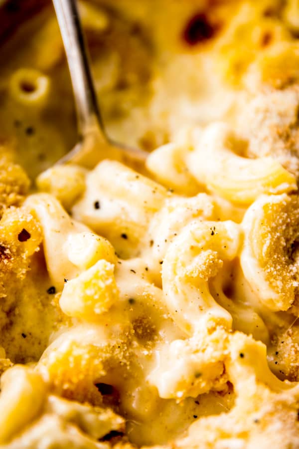 Baked Mac and Cheese in Creamy Homemade Sauce | Savory Nothings