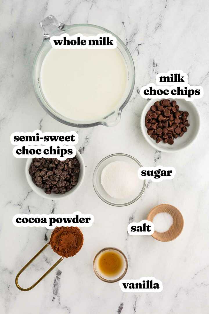 Homemade Hot Chocolate Recipe - Savory Nothings