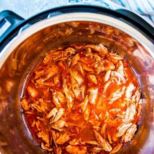 Instant Pot Salsa Chicken - Savory Nothings