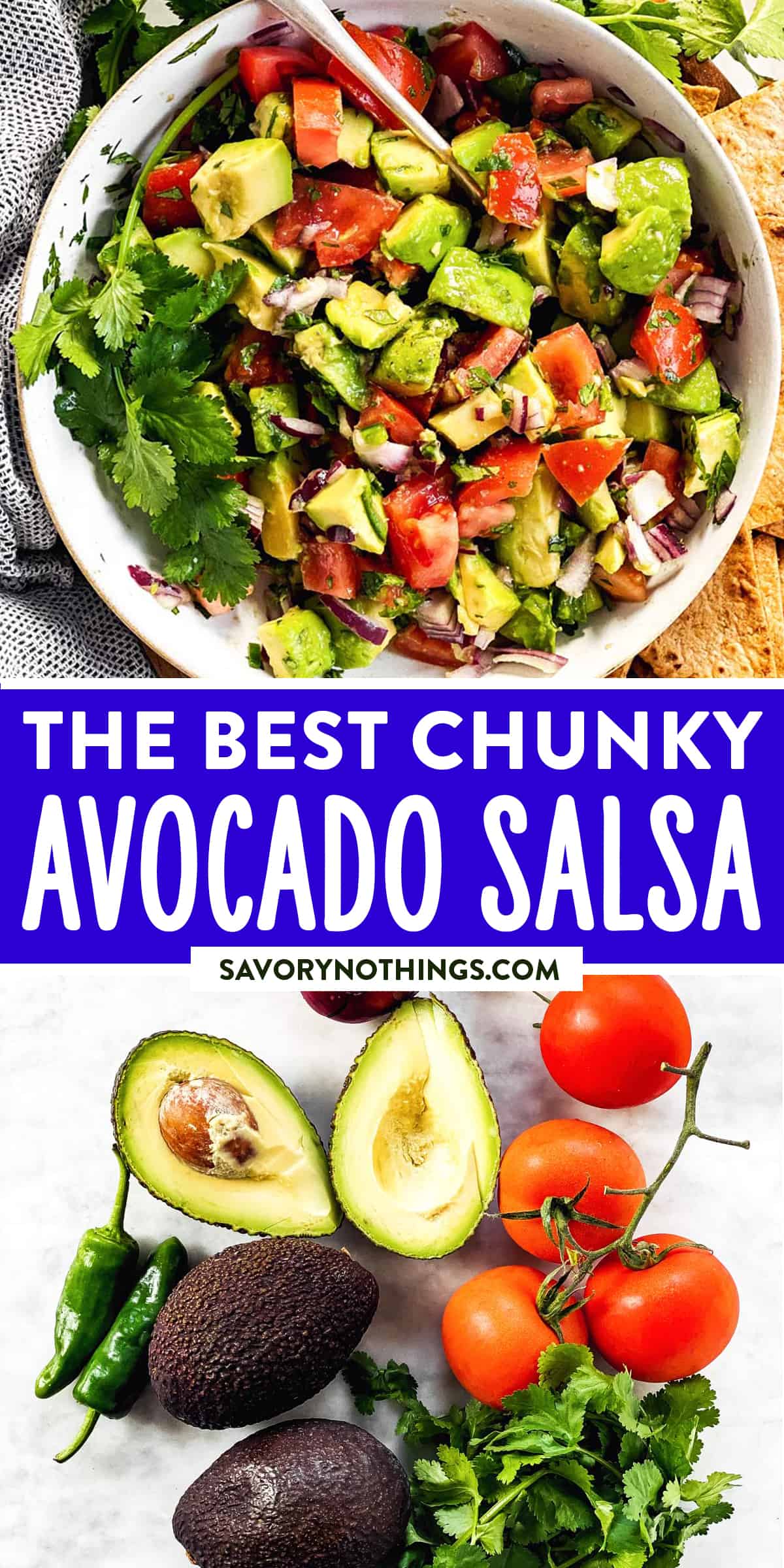 Chunky Avocado Salsa Recipe | Savory Nothings