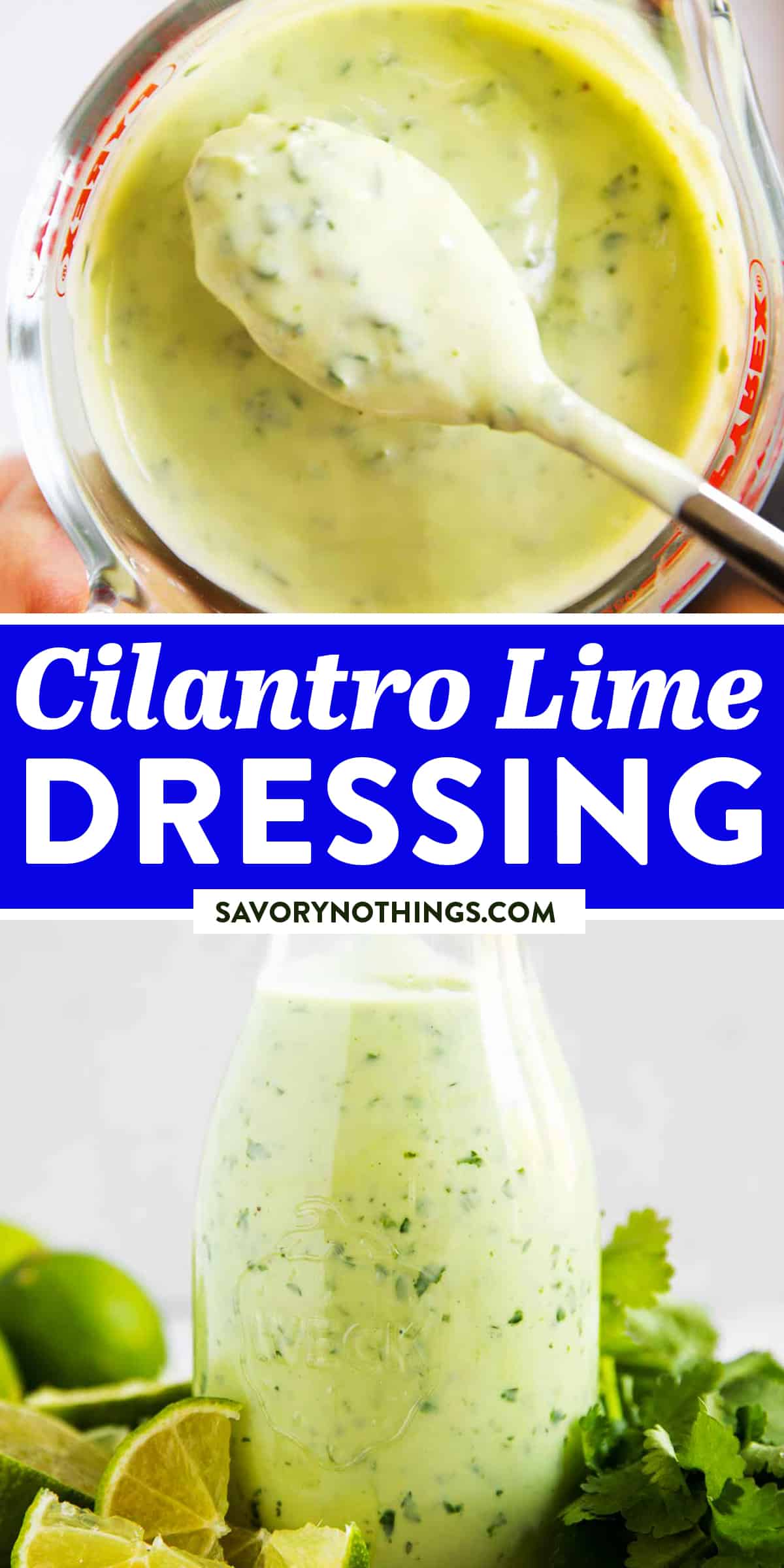 Cilantro Lime Dressing (or Sauce) Recipe | Savory Nothings