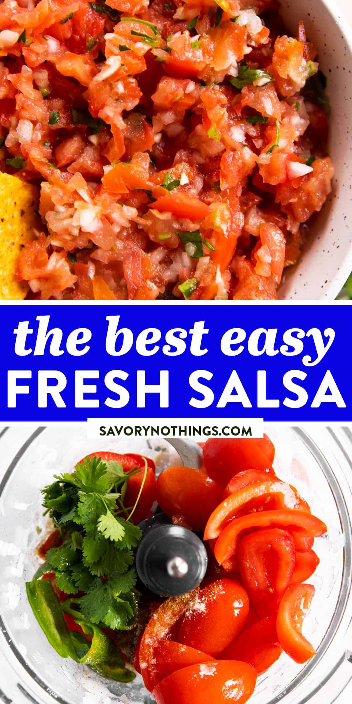 5 Minute Homemade Fresh Salsa Recipe | Savory Nothings