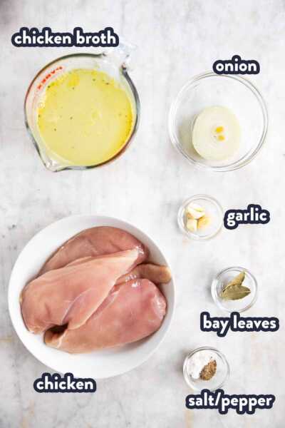 Easy Shredded Chicken Recipe - Savory Nothings