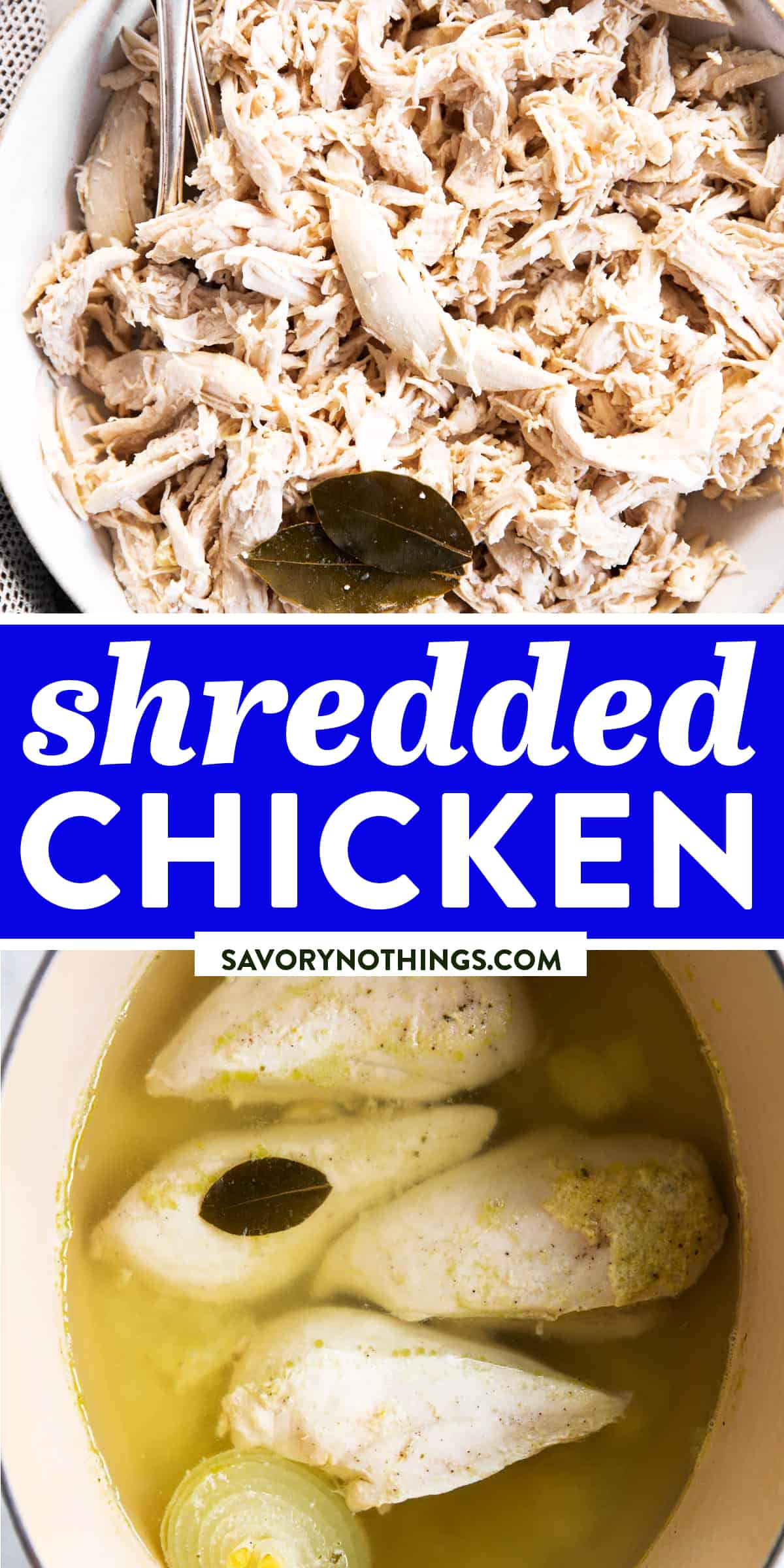 Easy Shredded Chicken Recipe | Savory Nothings