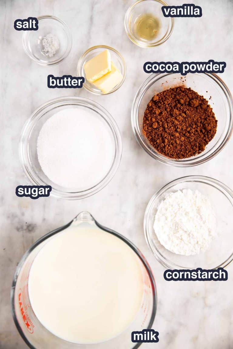 Homemade Chocolate Pudding Recipe - Savory Nothings