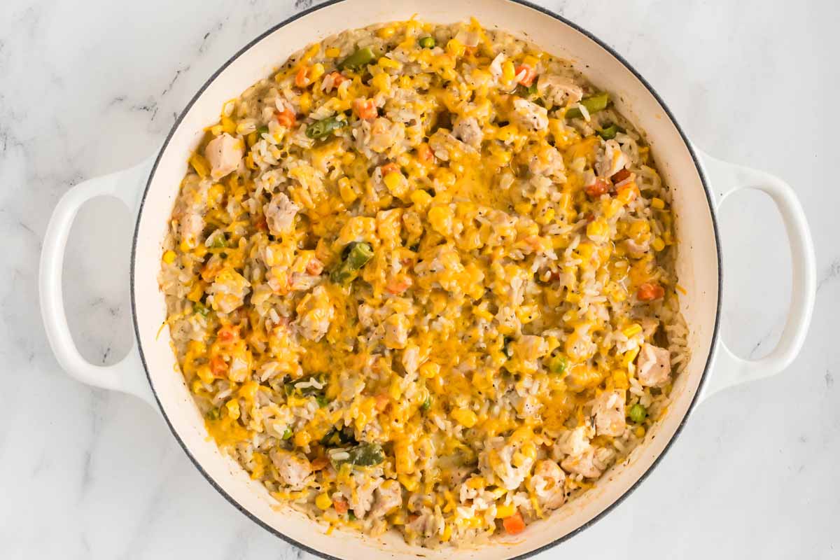One Pot Chicken and Rice Recipe - Savory Nothings